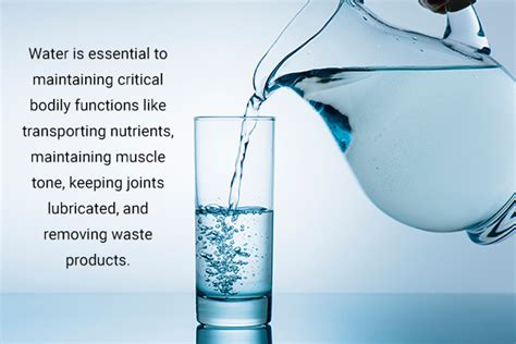 Functions Of Water