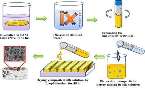 Schematic Illustration Of The Method Of Silk Fibroin Extraction And 3d