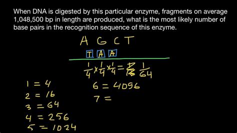 How To Find The Length Of The Recognition Site Of The Endonuclease