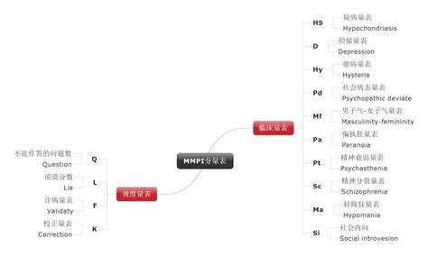 心优雅题库 历年真题 国家心理咨询师 2级 心理测验技能 MMPI