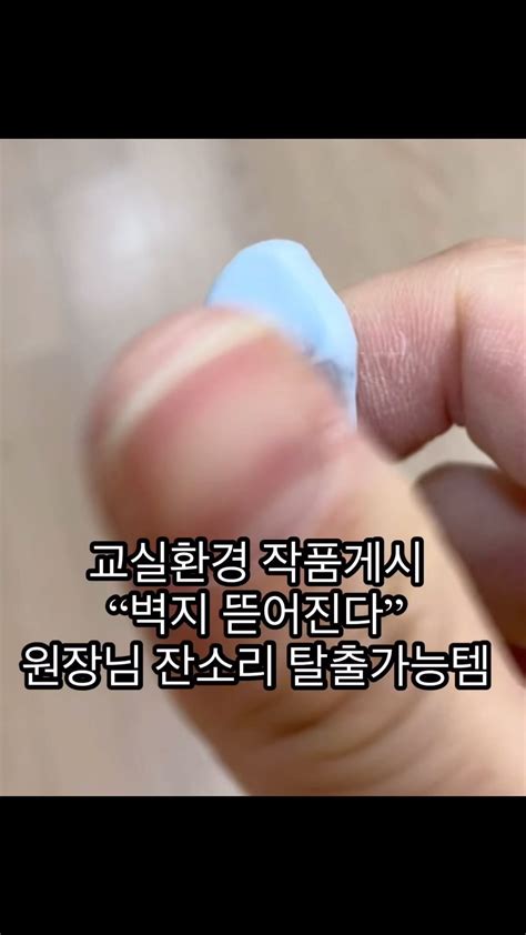 또치샘 보육교사 어린이집 유치원 유아교육 숲놀이지도사 작품게시하면서 벽지 뜯어질까봐 시트지 덧대고나중에