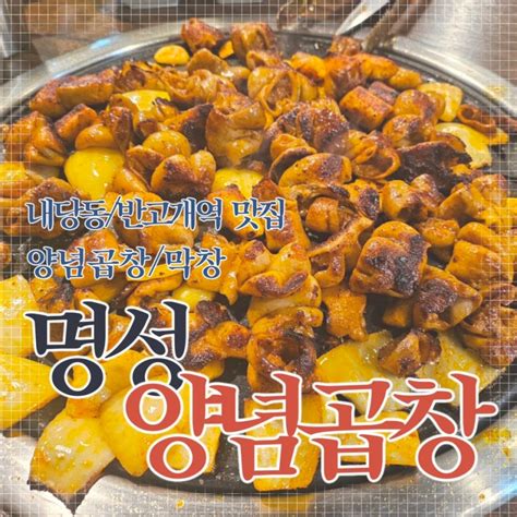 대구 내당동 로컬맛집 명성양념곱창 양념돼지곱창과 막창 그리고 소대창전골안먹으면 무조건 손해 네이버 블로그