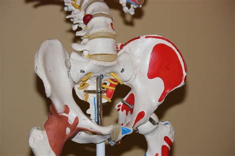 Arthroscopic Hip Labral Repair In Houston Tx Mufaddal Gombera Md