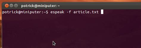 Give Your Computer A Voice With Espeak Windows And Linux