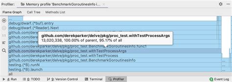 Memory Profiler Goland