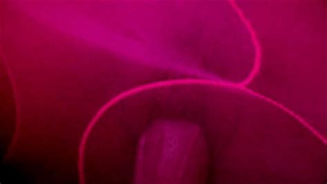 Pink Nylon Pink Pussy Feetfundoll Lisadove Clips4sale