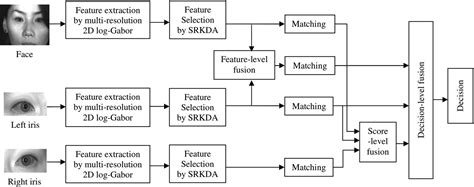 Face–iris multi‐modal biometric system using multi‐resolution Log‐Gabor filter with spectral ...