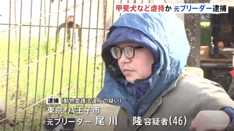 【悲報】飼育環境の劣悪さに驚愕！元ブリーダーが100頭以上の犬を虐待 速報トレンドカフェ