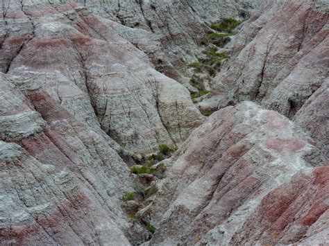Roughage Plus New Edit Landscape Critiques Nature Photographers