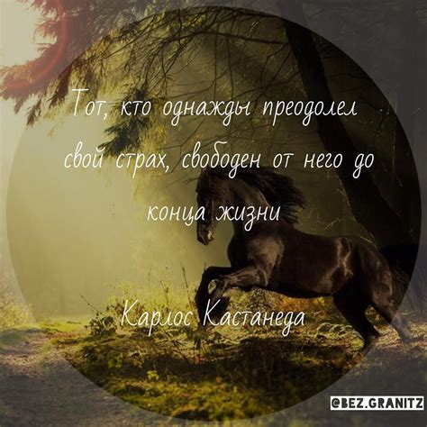 Карлос Кастанеда | Вдохновляющие цитаты, Цитаты, Мотивация