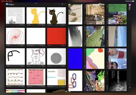 Designer Appears Upside Down In Ipados 161 Beta V1 Bugs Found On