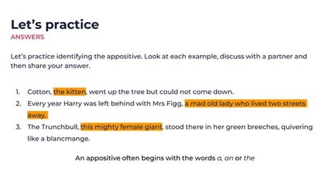 The Appositive Ppt