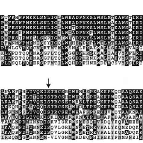 Multiple Alignment Of Deduced Amino Acid Sequence Of A Box A And Hmg