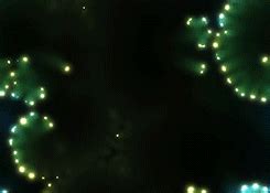 Reaction Diffusion Tumblr