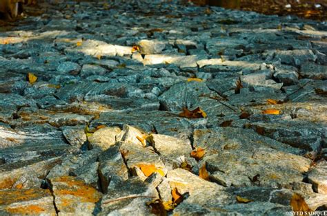 Syed Sadique Kausar On Linkedin Problemsolving Logicalthinking