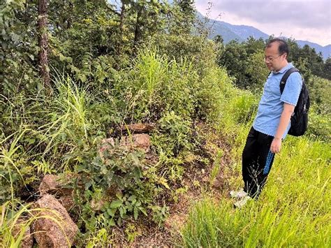 校团委赫曦学员赴隆回开展乡村旅游产业调研 湖南大学新闻网