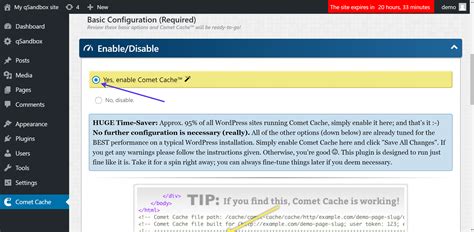 Como Limpar O Cache Do WordPress Em Seu Site Em 2025