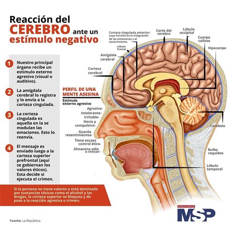 Ems Solutions International By Drramonreyesmd Marca Registrada