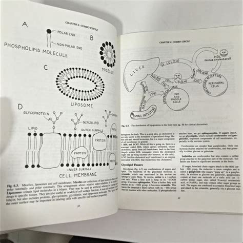 Clinical Biochemistry Made Ridiculously Simple Hobbies And Toys Books