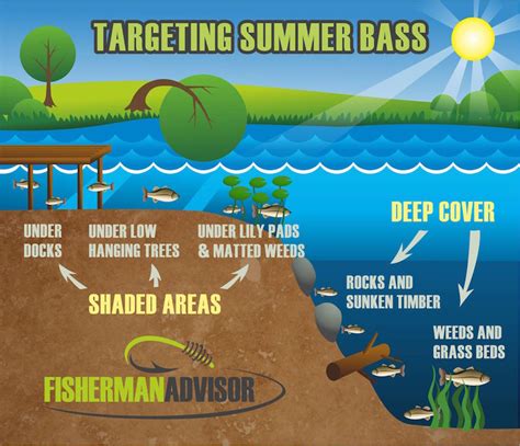 Best Bass Lures For Summer Catch More Bass This Summer