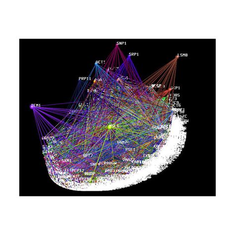 Mango Network Data Visualization Software Easy Simple