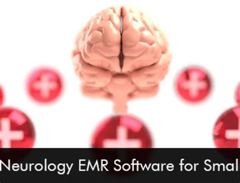 Top 5 Free And Open Source Emr Software For Small Practices Emrfinder Blog