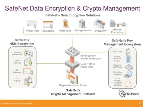 Safenet Overview 2014