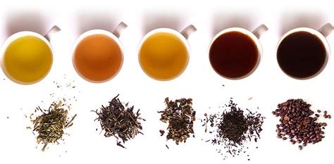 8 Popular Caffeine Sources And How They Differ