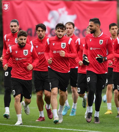 ხვიჩა და ნიცა დაინიშნნენ როდის გეგმავს წყვილი ქორწილს ბადრი