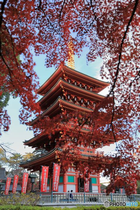 高幡不動17 By メリーゴーランド （id：8311393） 写真共有サイトphotohito