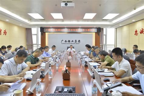 【集团要闻】广糖集团党委召开党委2022年下半年党建工作专题会 广糖新闻 广西糖业集团有限公司