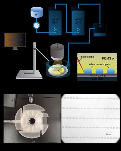 A Schematic Diagram Of The Microdroplet Generation System With