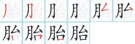 胎的笔顺 胎字笔画顺序 胎笔顺怎么写 聚巧网