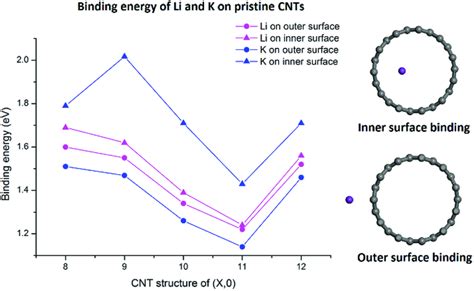 Binding Energies Of Li And K Adsorbed On The Inner And Outer Surfaces