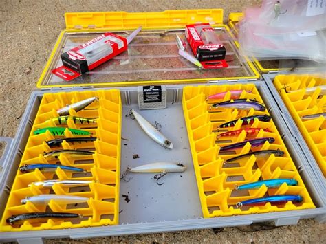 Berkley Just Released Forward Facing Sonar Baits—and Theyre