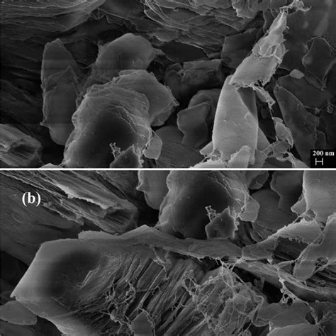 Xrd Pattern Of Boron Nitride Powder Sample 1 B Xrd Pattern Of