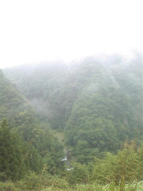 今日も雨 秩父源流水ブログ 「奥秩父山系から湧き出る自然の恵みを直送でお届けします。」