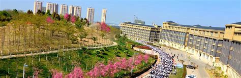 云大附中呈贡校区 首页