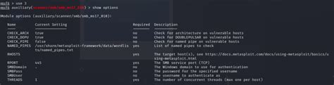 Metasploit Console And Meterpreter Mastering Enterprise Networks 2e