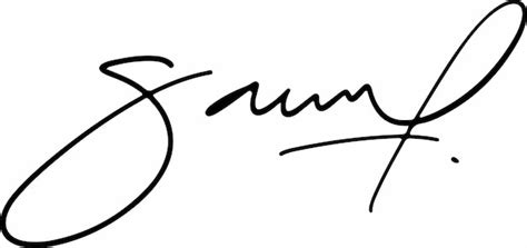 Premium Vector Signature