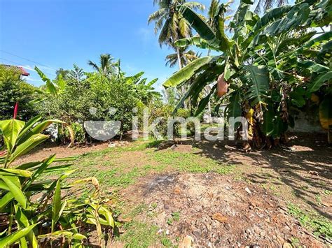 Land For Sale In Piliyandala Bokundara Ikman