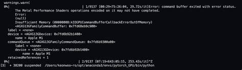 Error Command Buffer Exited With Error Status