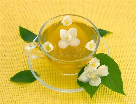 Jasmin Tea Stock Image Image Of Rest Fragrant Pleasant 9694265