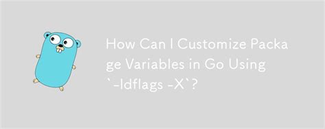 如何使用 ` Ldflags X` 自訂 Go 中的套件變數？ Golang Php中文網
