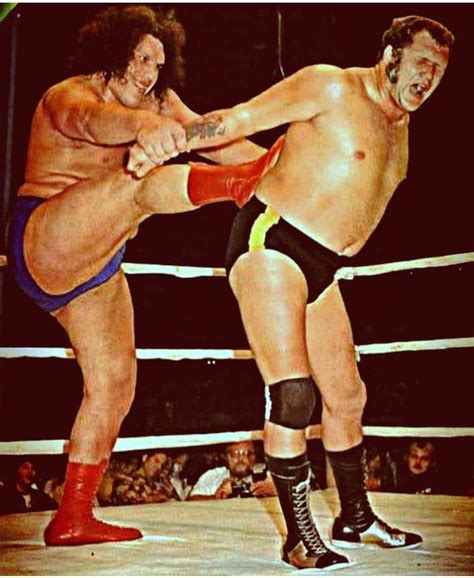 Andre The Giant Vs Harley Race Andre The Giant Female Wrestlers