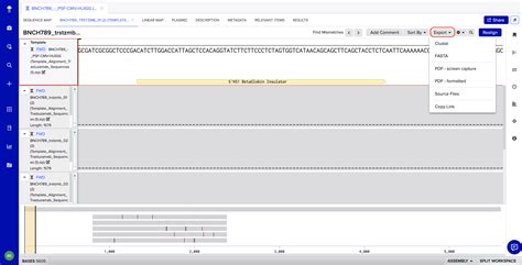 How Do I Export My Dna Alignment Benchling