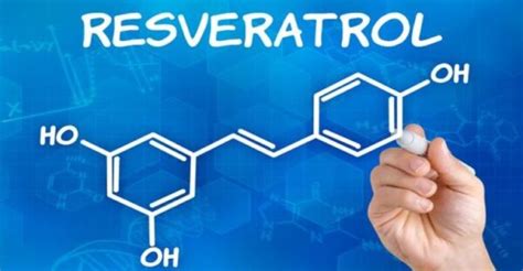 What Is Resveratrol What Are Its Benefits And How Does It Compare