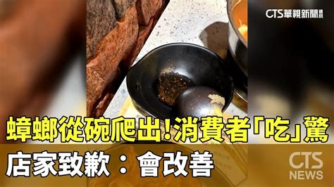 蟑螂從碗爬出！ 消費者「吃」驚 店家致歉：會改善｜華視新聞 20240507 Youtube