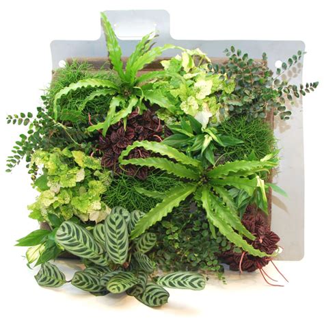 Flexipanel For A Modular Green Wall System Sempergreenwall