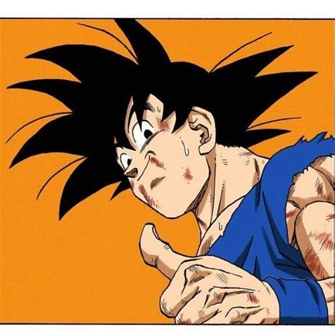 Follow ｛dbkakarot ｝ Kakarot ♡ Dragonball Dragonballz Dbz